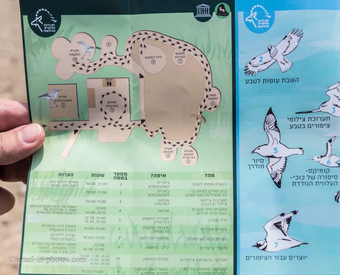 Beit Guvrin - Maresha National Park - Full Visitors Guide