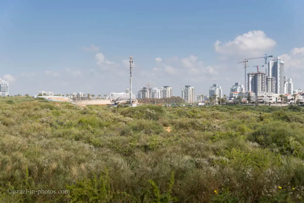 Coastal Iris at Nahal Poleg Nature Reserve - Visitors Guide
