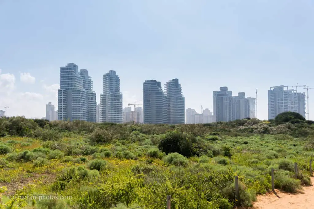 Coastal Iris at Nahal Poleg Nature Reserve - Visitors Guide