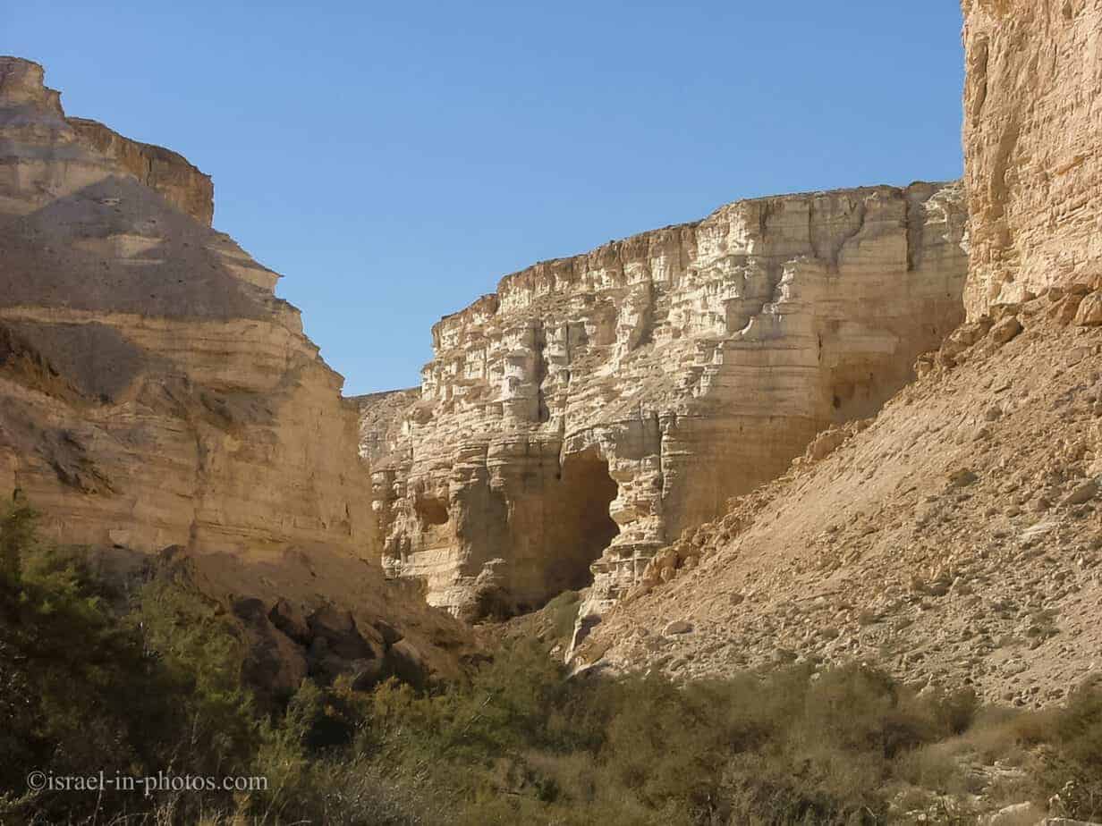 Ein Avdat National Park - Visitors Guide (with Map and Trails)