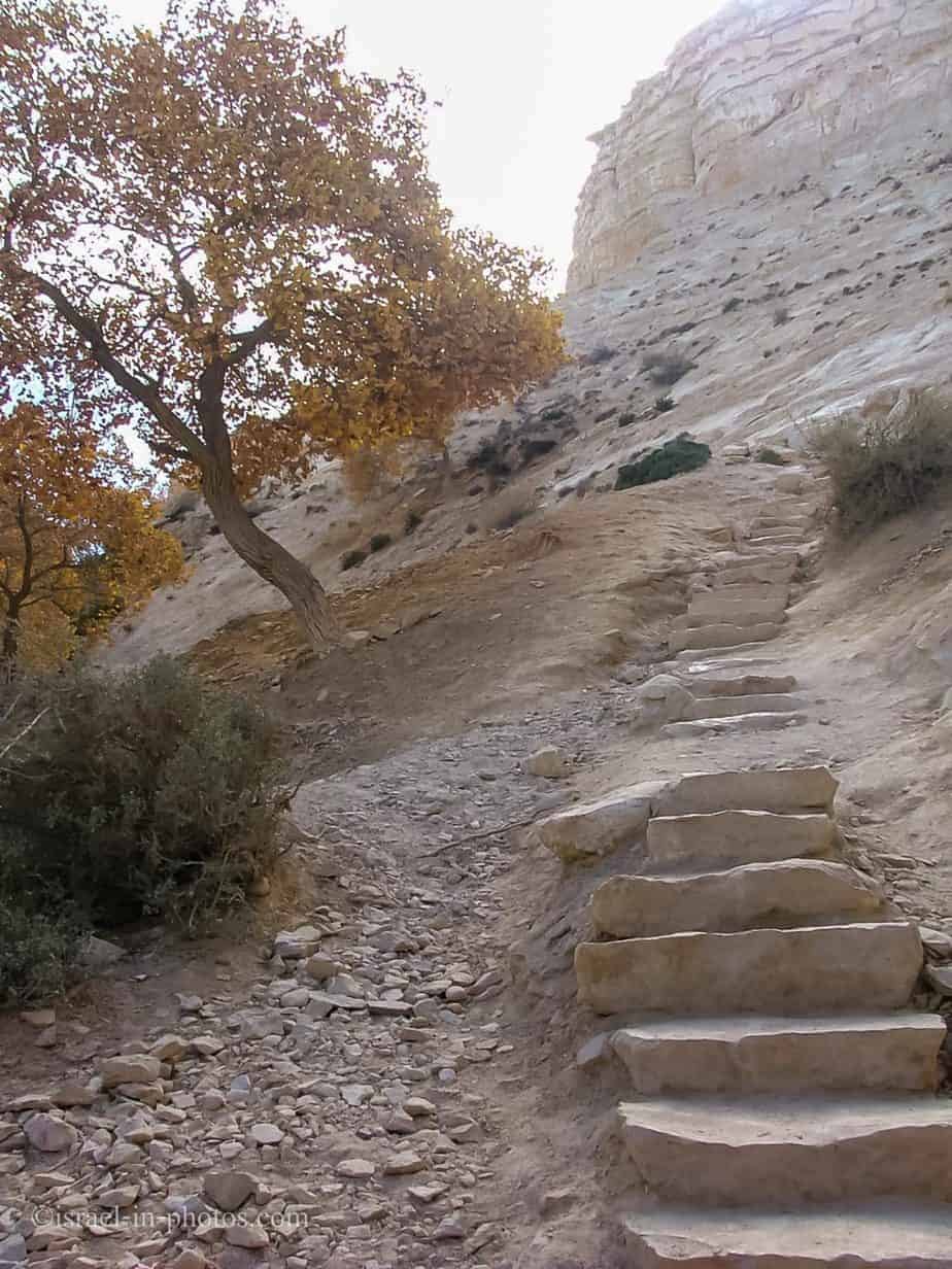 Ein Avdat National Park - Visitors Guide with Map and Tracks