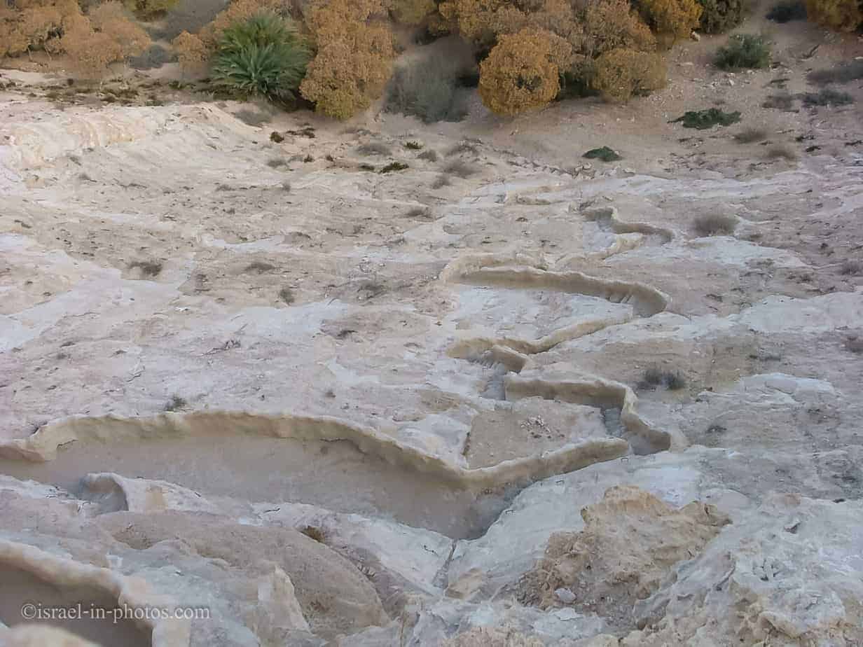 Ein Avdat National Park - Visitors Guide with Map and Tracks