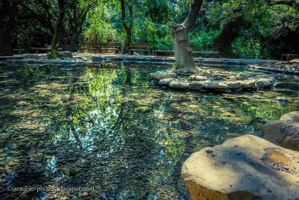 Tel Dan Nature Reserve - Photographed Guide - The Gate To Paradise