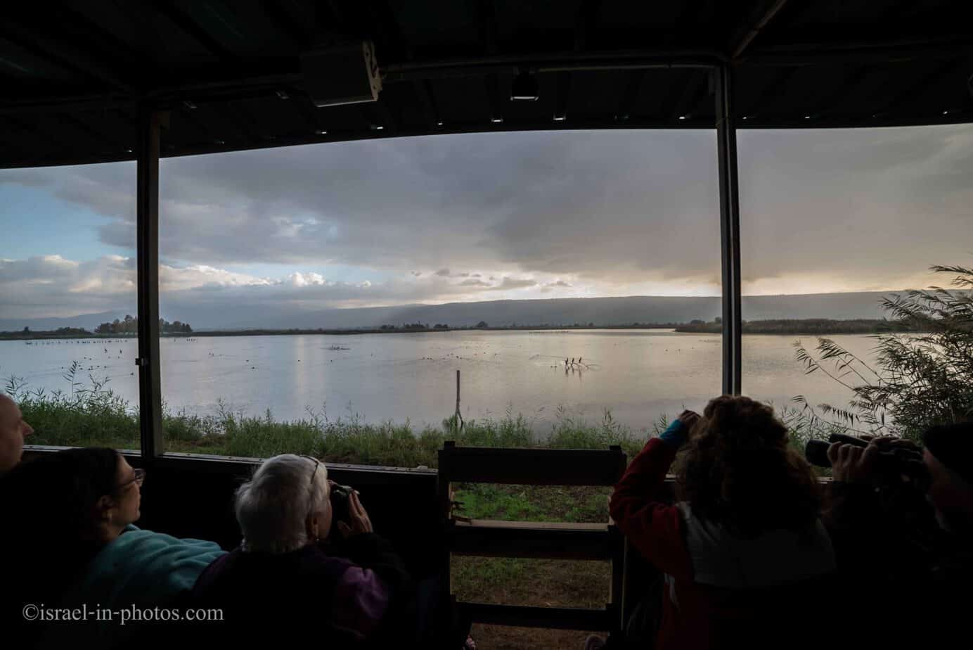 Agamon Hula - Must For Bird Lovers - Visitors Guide