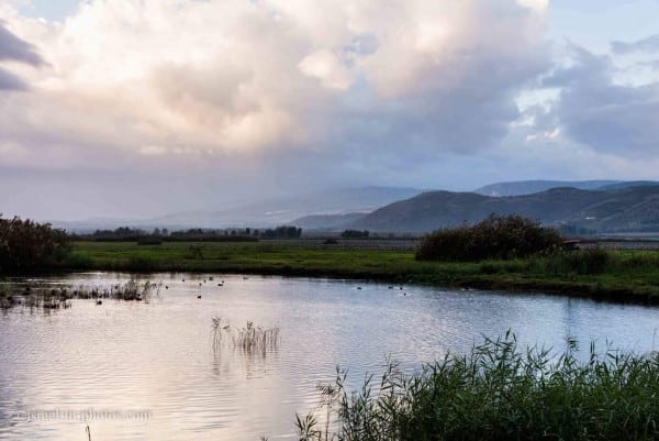 Agamon Hula - Must For Bird Lovers - Visitors Guide