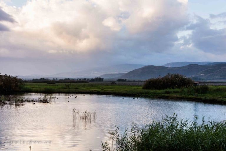Agamon Hula - Must For Bird Lovers - Visitors Guide