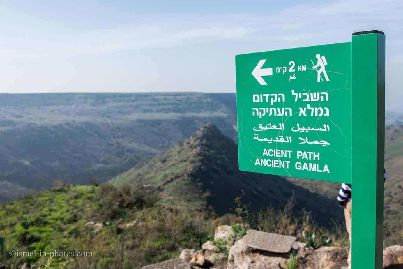 Gamla Nature Reserve - Full Visitors Guide with Photos