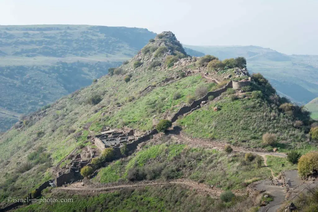 Gamla Nature Reserve - Full Visitors Guide with Photos