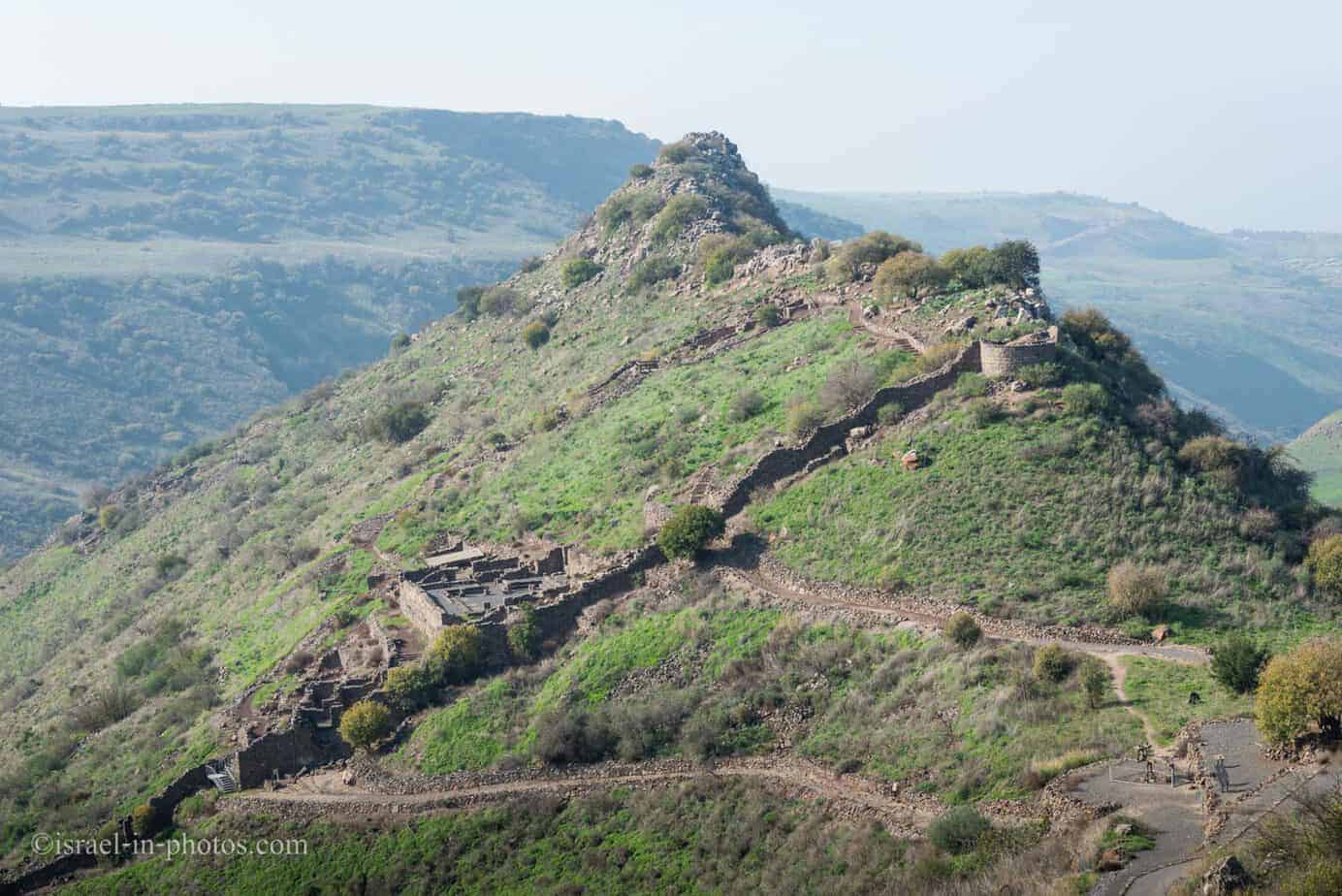 Gamla Nature Reserve - Full Visitors Guide with Photos