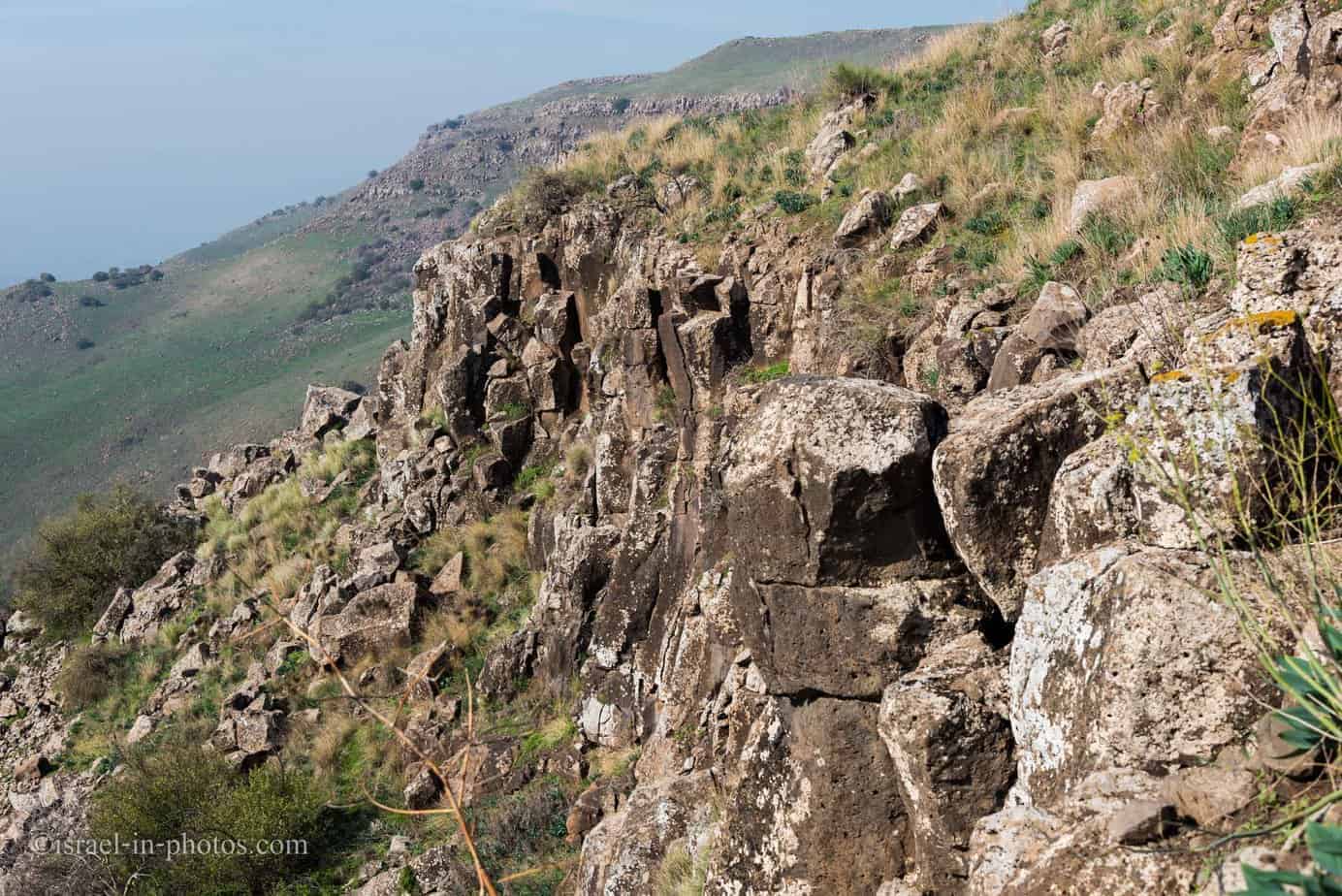 Gamla Nature Reserve - Full Visitors Guide with Photos