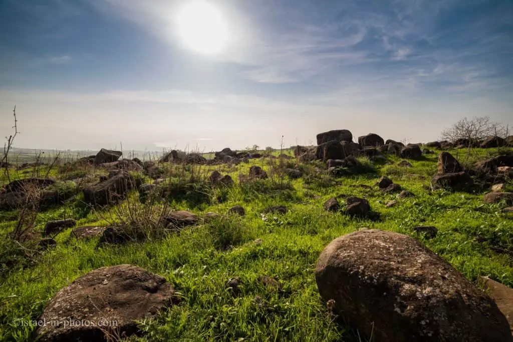 Gamla Nature Reserve - Full Guide - Travel Israel