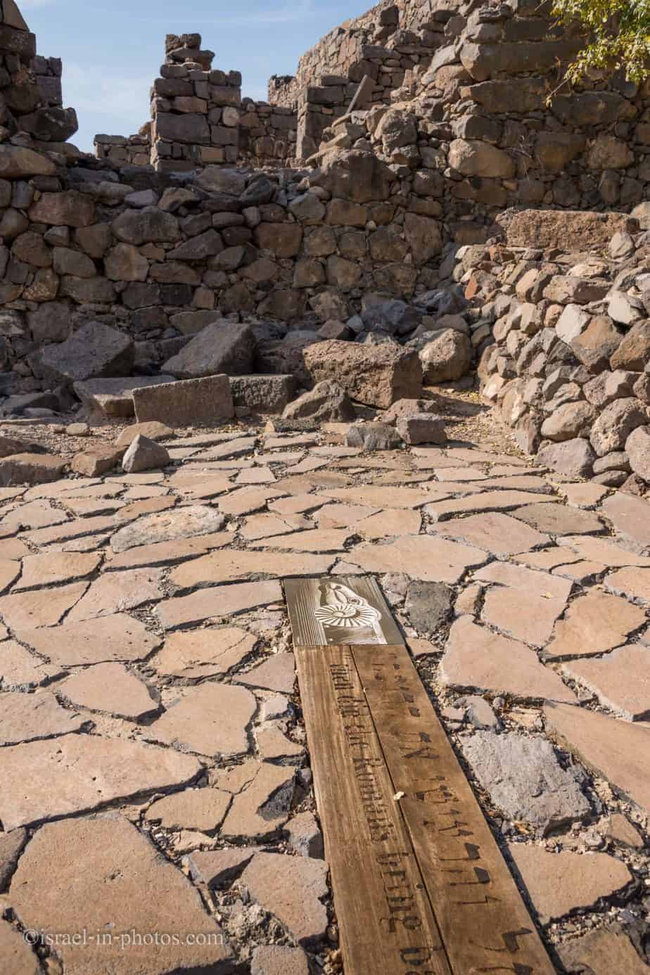 Gamla Nature Reserve - Full Visitors Guide with Photos