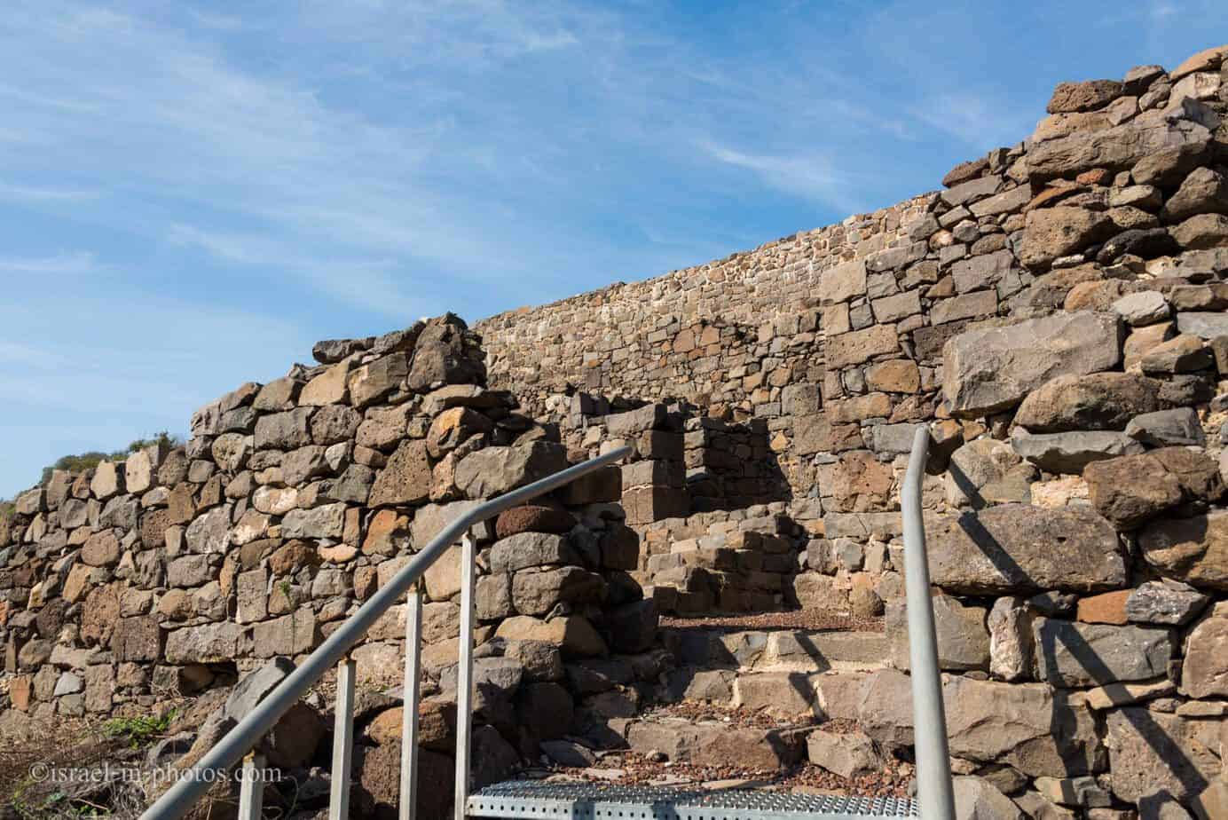 Gamla Nature Reserve - Full Visitors Guide with Photos