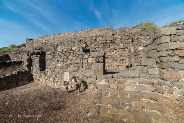 Gamla Nature Reserve - Full Visitors Guide with Photos