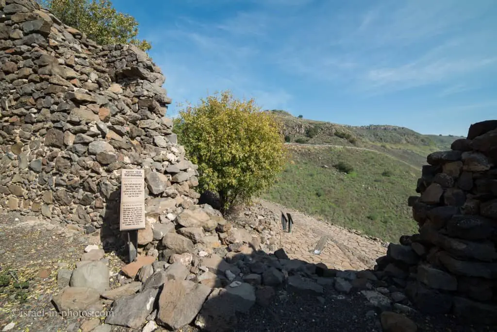 Gamla Nature Reserve - Full Visitors Guide with Photos