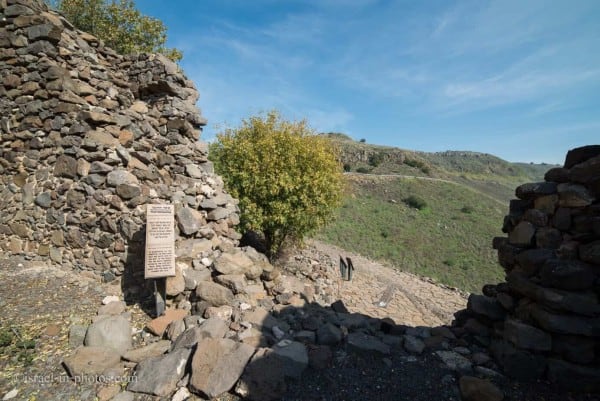 Gamla Nature Reserve - Full Visitors Guide with Photos