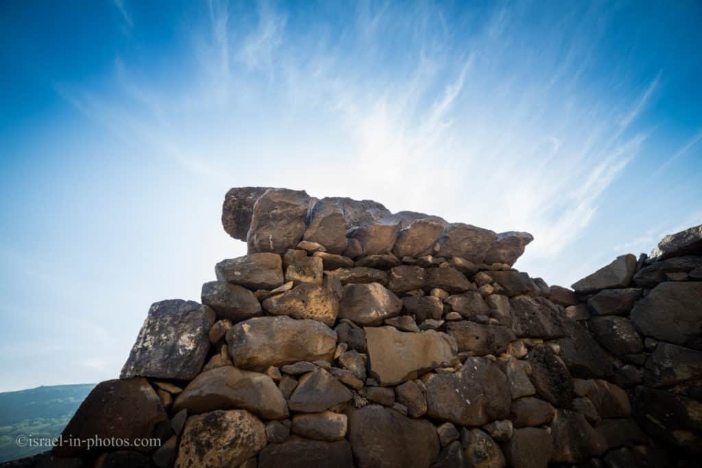 Gamla Nature Reserve - Full Visitors Guide with Photos