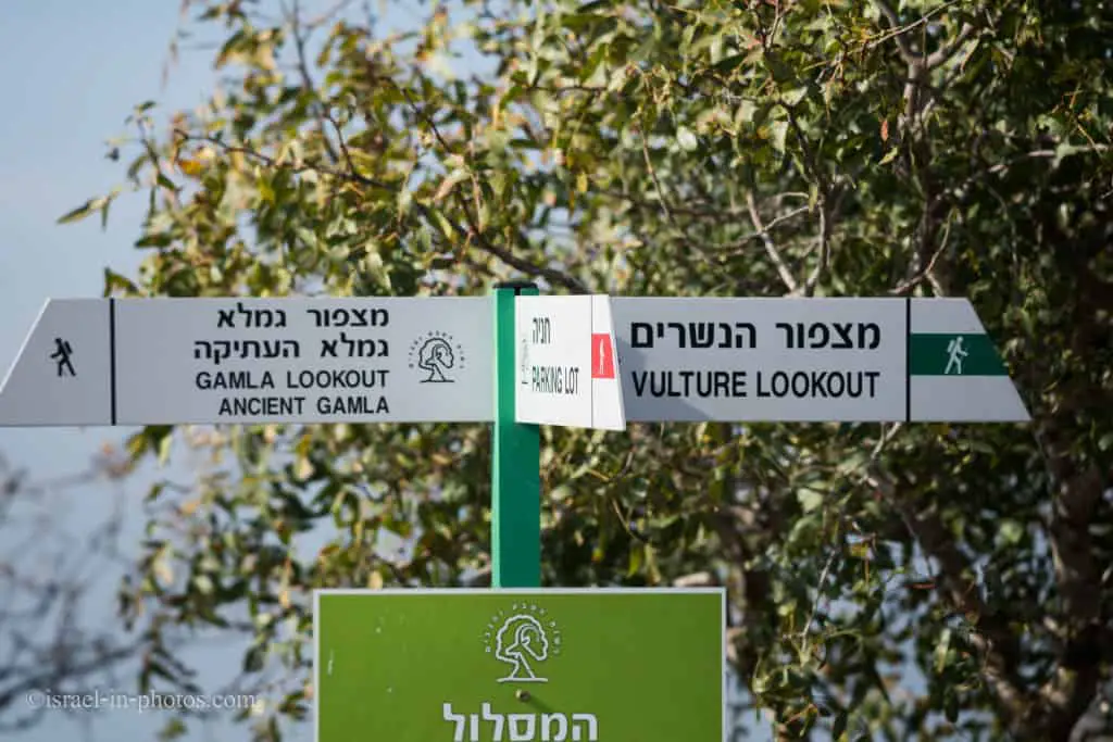 Gamla Nature Reserve - Full Visitors Guide with Photos