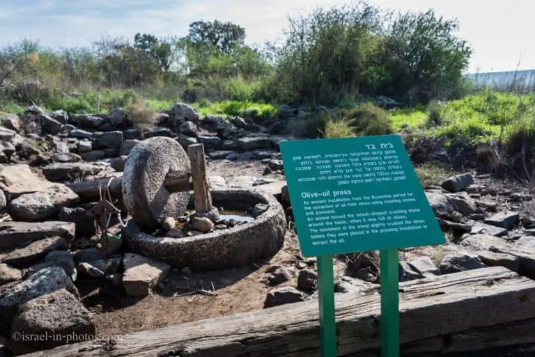 Gamla Nature Reserve - Full Visitors Guide with Photos