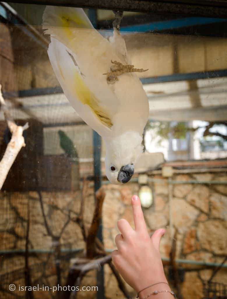 Gan Hai, Small Zoo in Petah Tikva - Visitors Guide