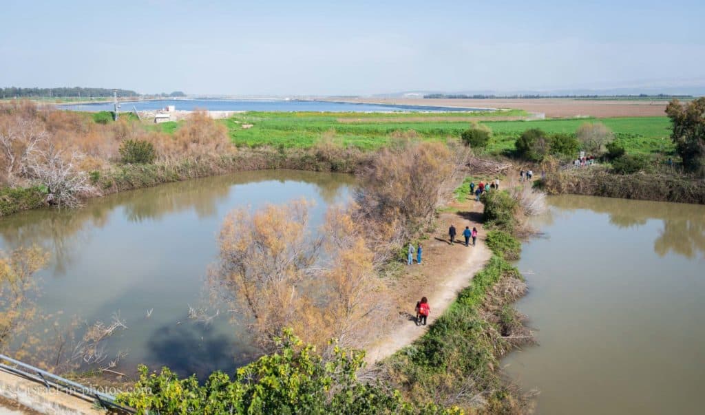 Ein Afek Nature Reserve - Visitors Guide - Travel Israel
