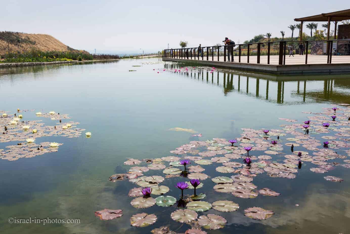 Ariel Sharon Park (Hiriya) - Visitors Guide - Park on a Waste Dump