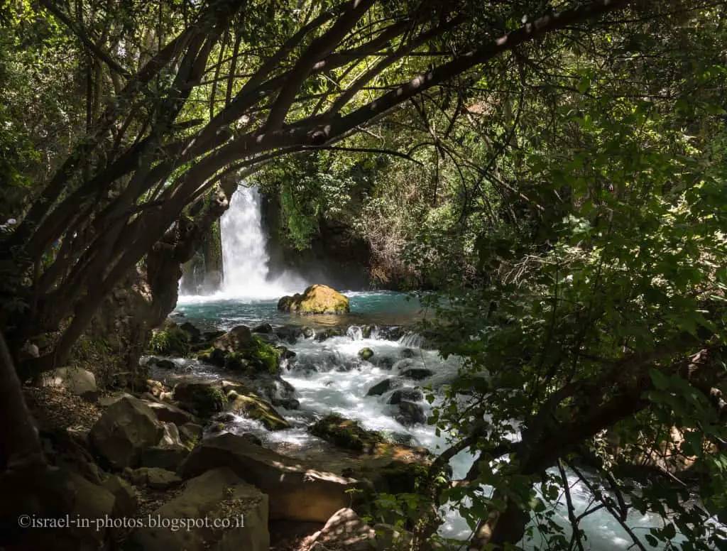 Banias (Hermon Stream Nature Reserve) – Visitors Guide (Map, Trails ...