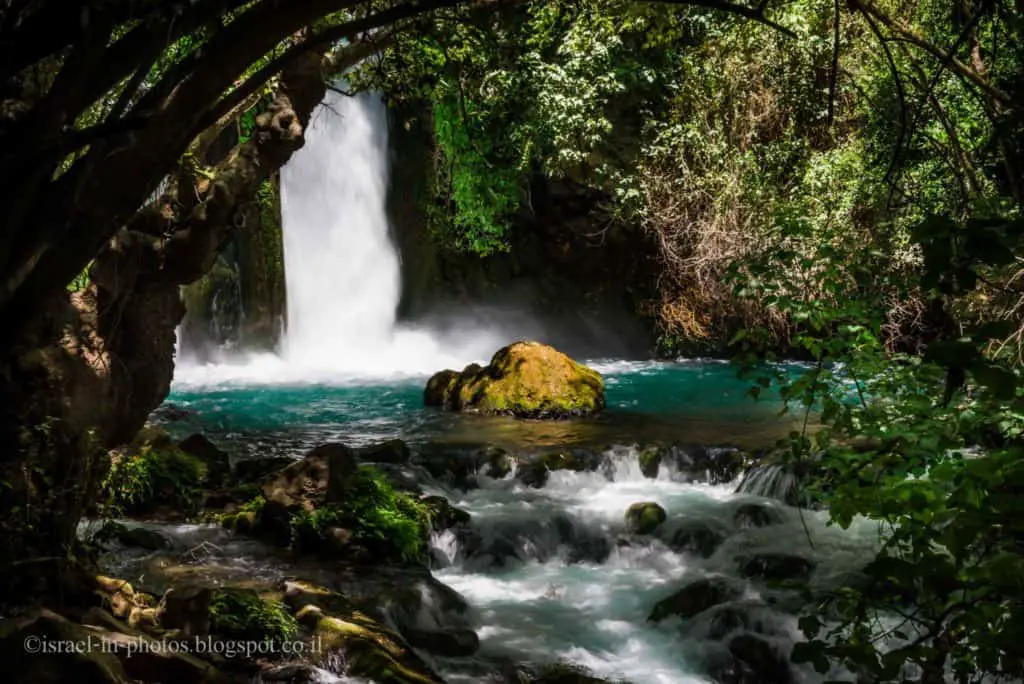 Banias Nature Reserve (Hermon Stream) - Israel In Photos