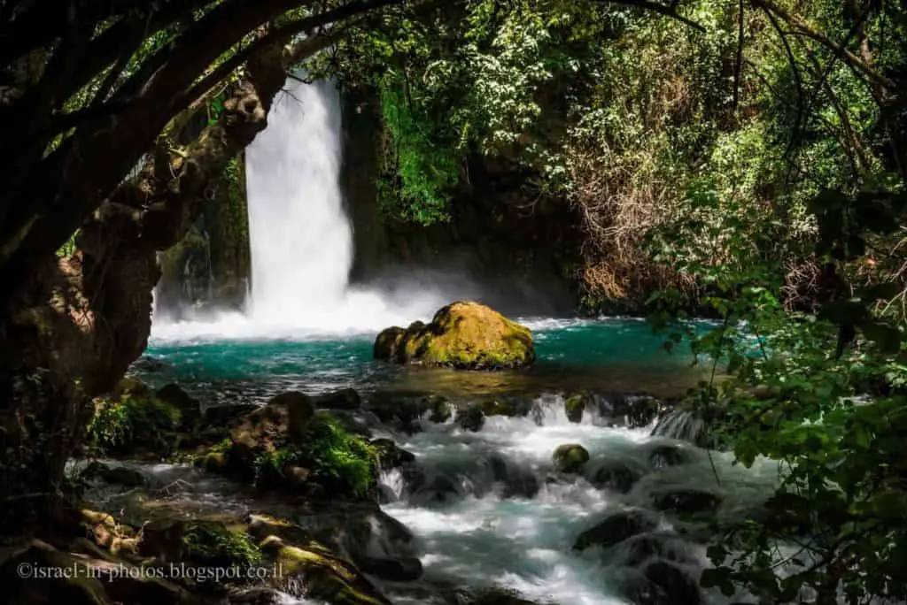 Banias - Hermon Stream Nature Reserve - Visitors Guide