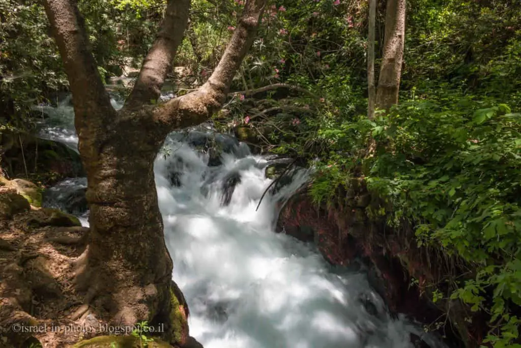 Banias (Hermon Stream Nature Reserve) – Visitors Guide (Map, Trails ...