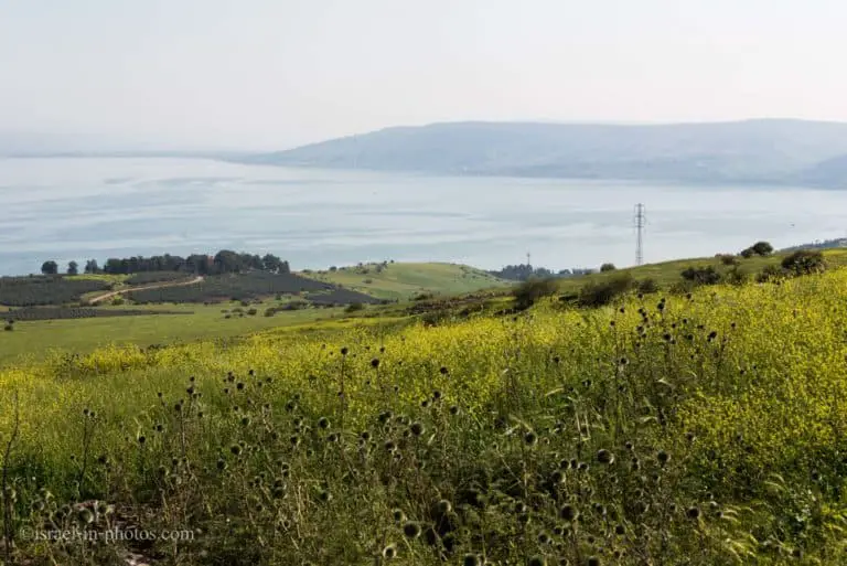 Korazim (Chorazin) National Park - Visitors Guide