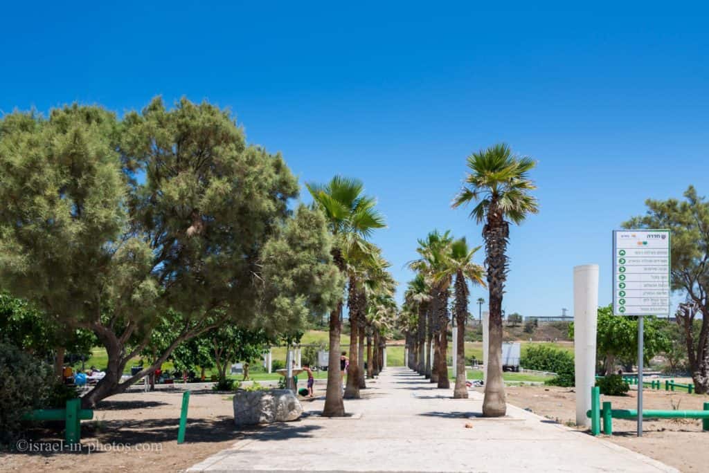 Hadera Stream Park – Visitors Guide with Photos