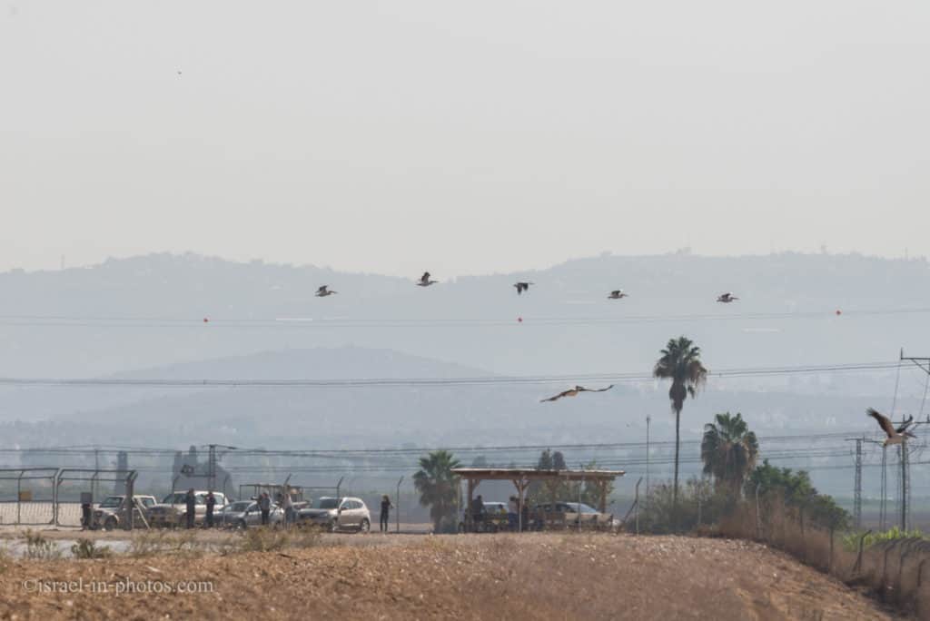 Viker Lookout – Mishmar Hasharon Reservoir - Visitors Guide