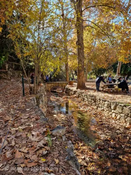 Ein Hemed National Park - Visitors Guide