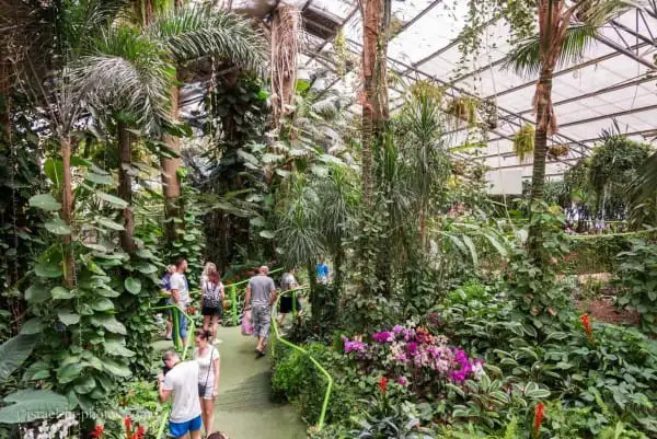 Utopia Orchid Park, Kibbutz Bahan - Visitors Guide