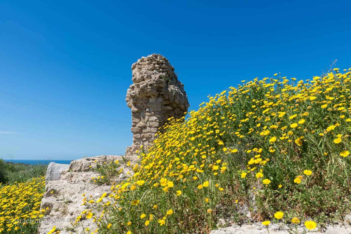 Ashkelon National Park - Visitors Guide