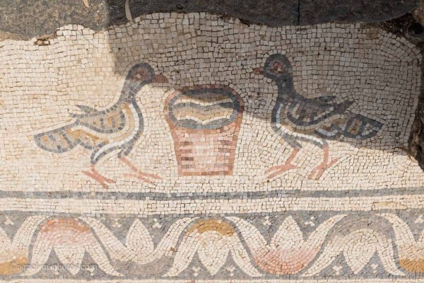 Mosaics in Israel - 15+ Places Where You Can See and 20+ Photos