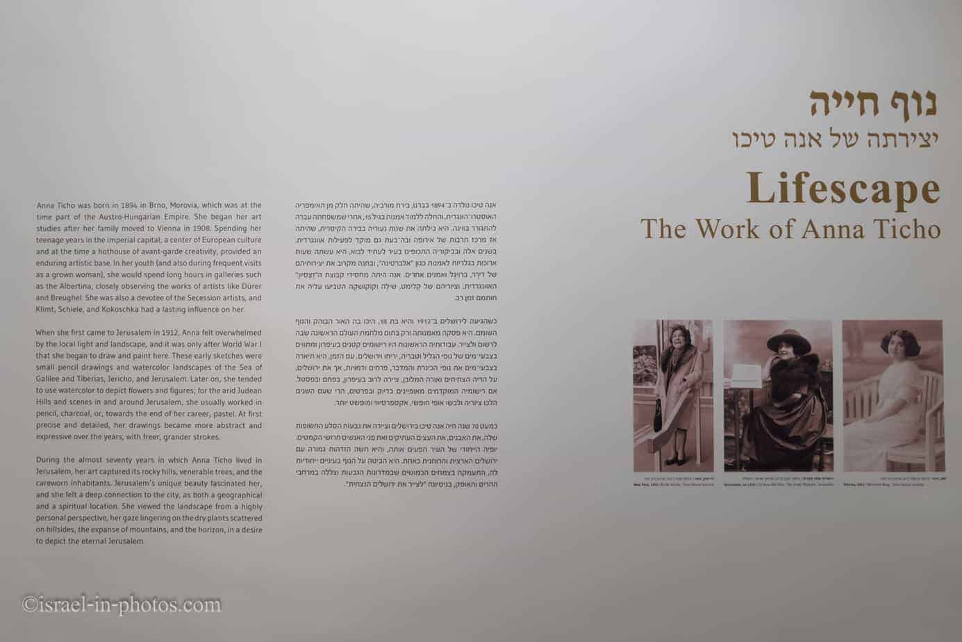 Ticho House, Jerusalem - Full Guide with Photos - Israel in Photos