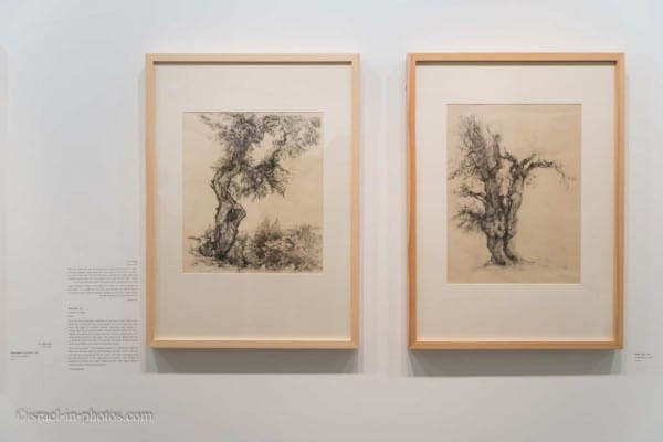 Ticho House, Jerusalem - Full Guide with Photos - Israel in Photos