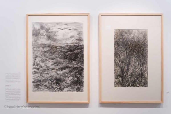 Ticho House, Jerusalem - Full Guide with Photos - Israel in Photos