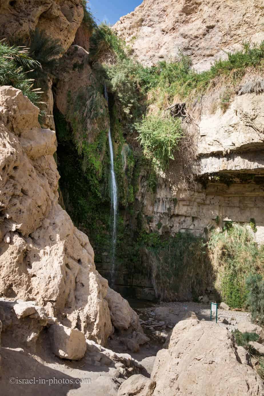 Ein Gedi Nature Reserve - Visitors Guide (Map, Trails and More)