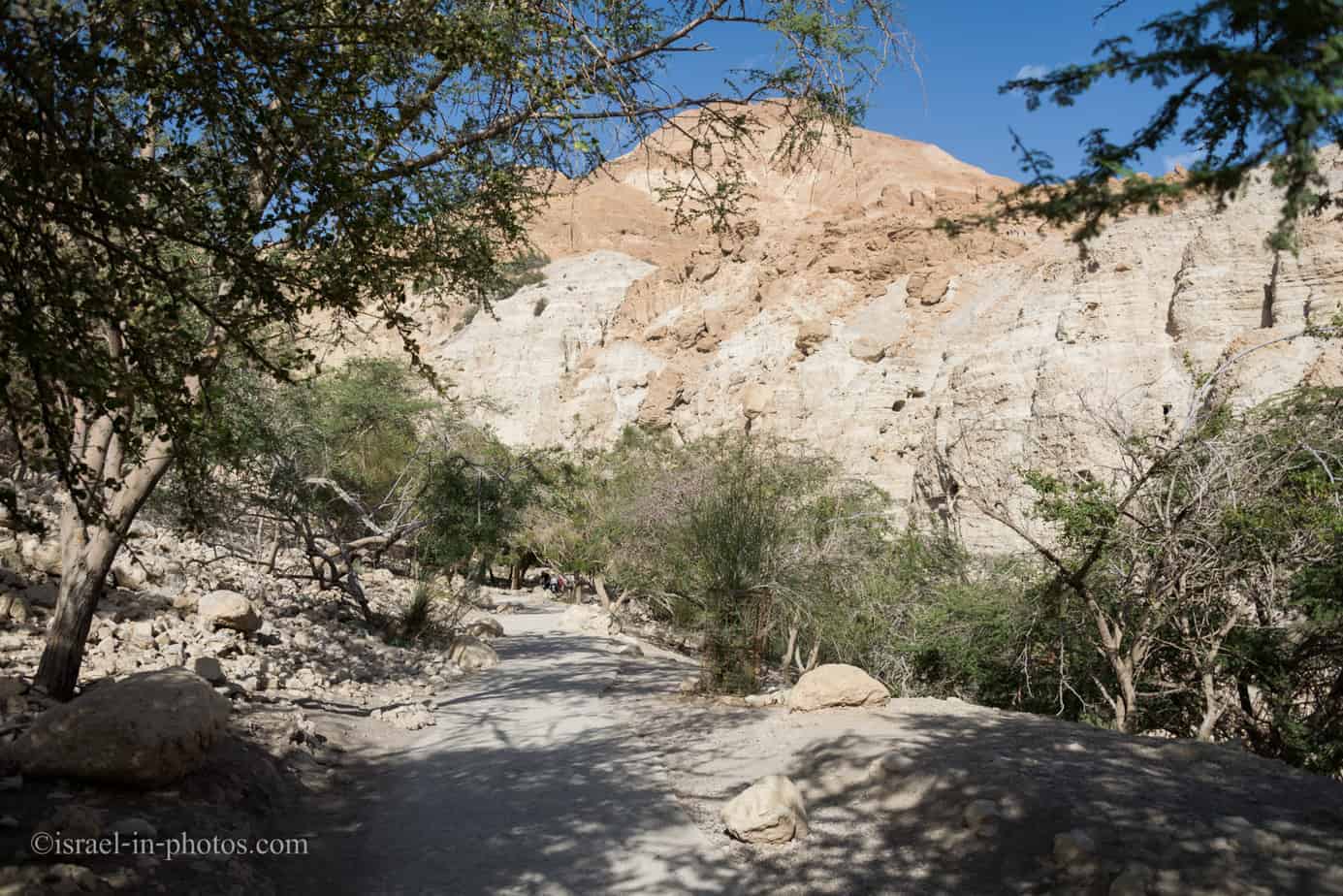 Ein Gedi Nature Reserve - Visitors Guide (Map, Trails and More)