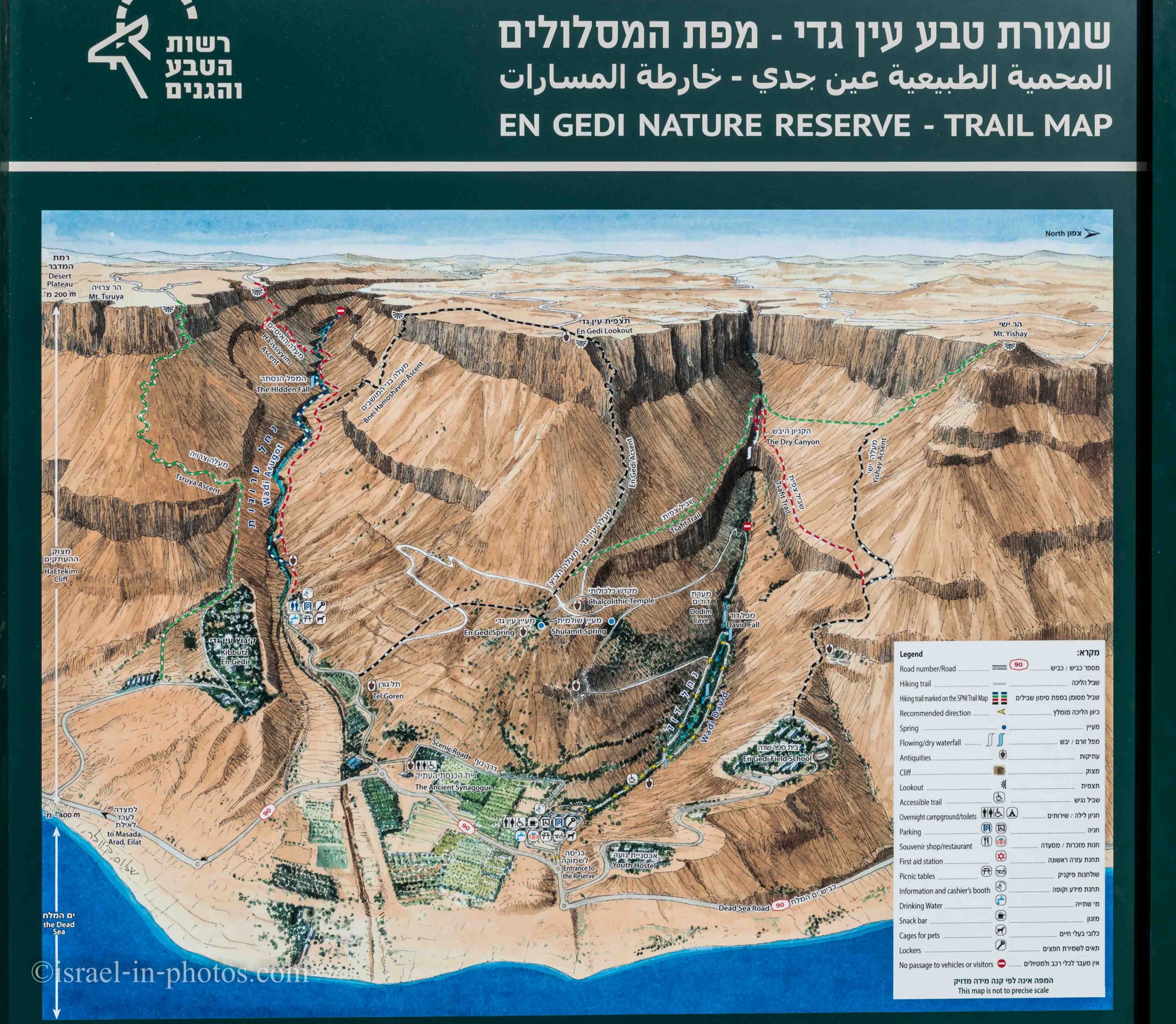 Ein Gedi Nature Reserve Visitors Guide Map Trails And More 