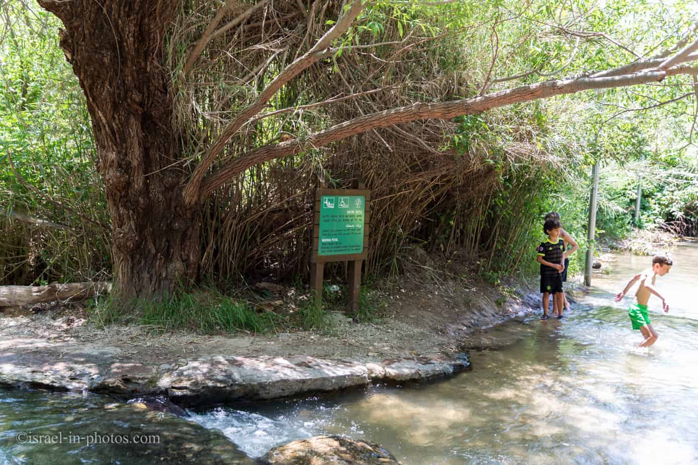 Ayun Stream and Tanur Waterfall - Visitors Guide