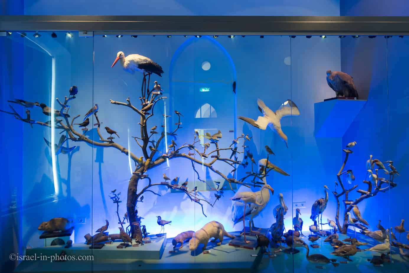 Madatech, Haifa - Visitor Guide with Coupons - Israel in Photos