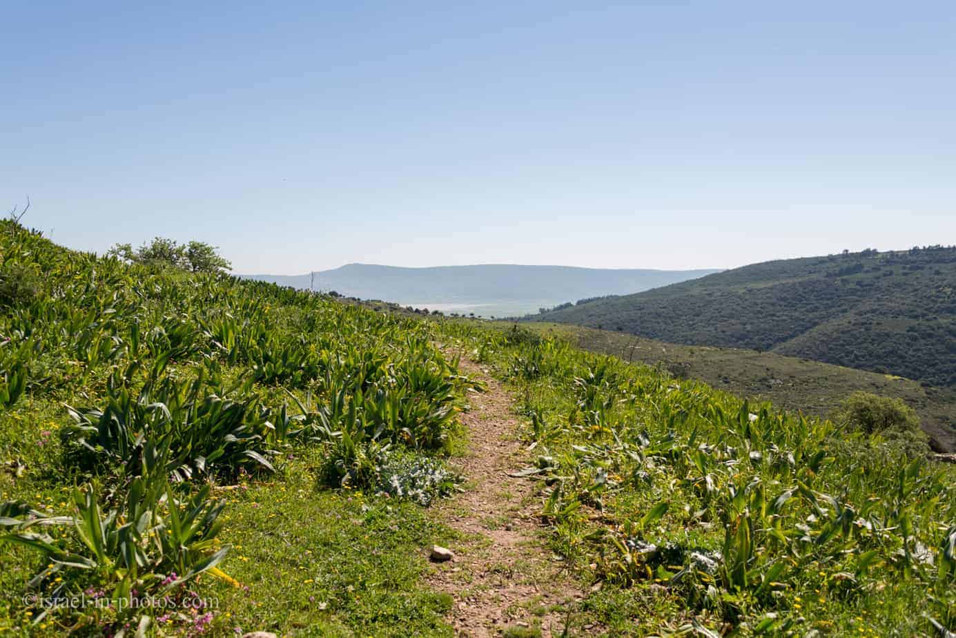 Tel Yodfat National Park (Jotapata) - Visitors Guide