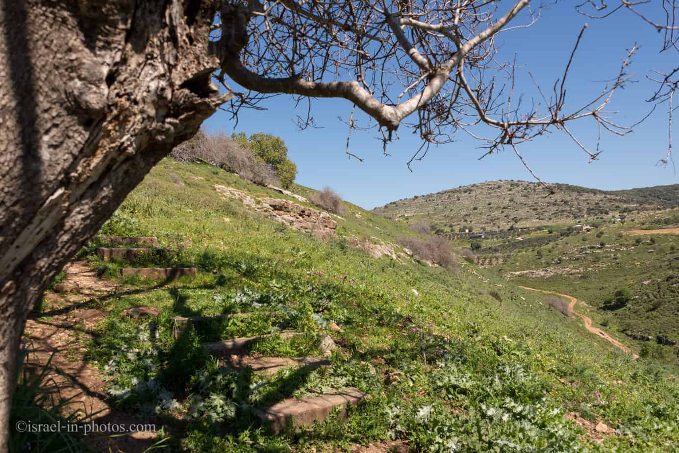 Tel Yodfat National Park (Jotapata) - Visitors Guide