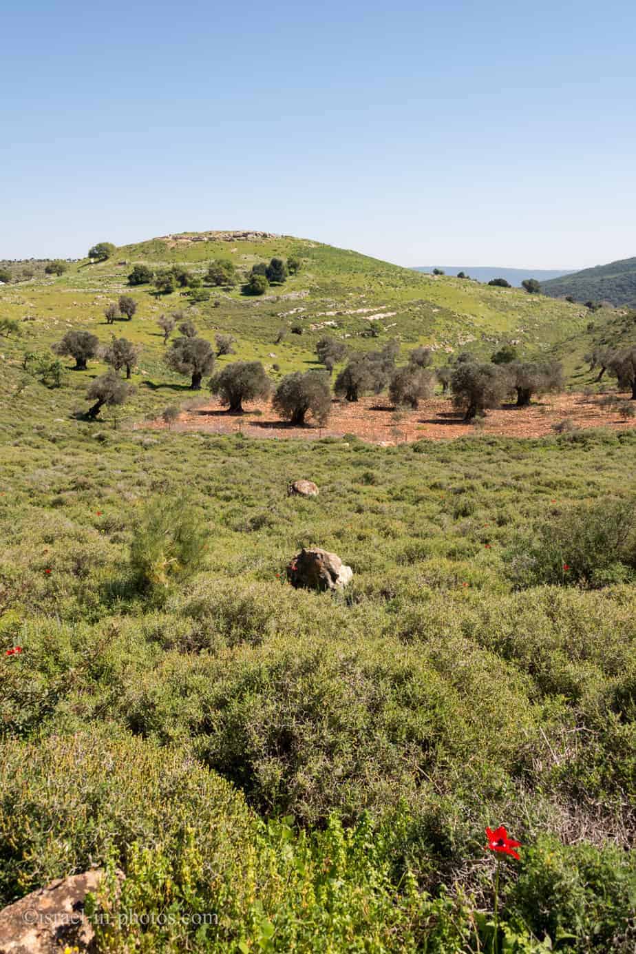 Tel Yodfat National Park (Jotapata) - Visitors Guide