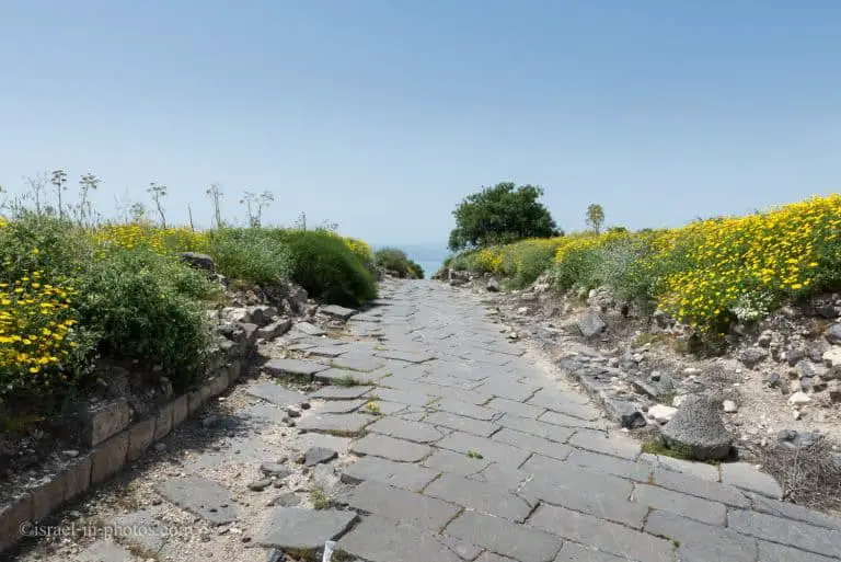 Susita National Park (Hippos) - Visitors Guide - Israel in Photos