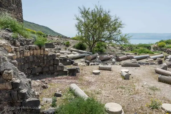 Susita National Park (Hippos) - Visitors Guide - Israel in Photos